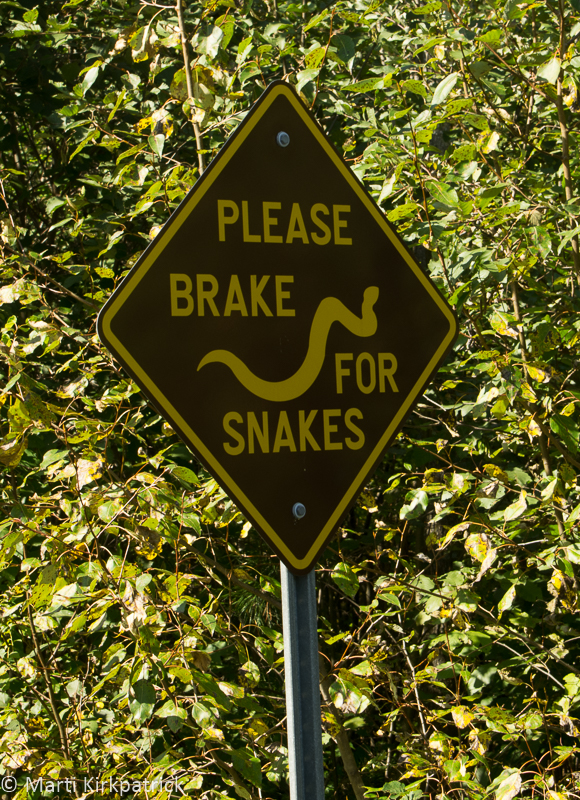 Uncategorized | Whack-A-Mole Wheels